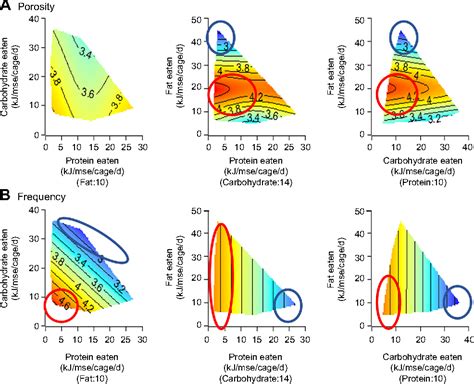 Structure Of Hepatic Sinusoid Semantic Scholar