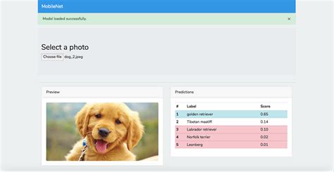 Image Classification With Client Side Neural Network Using Tensorflowjs By Deepak