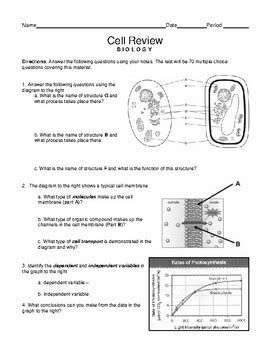 BIology Cells Test Review Study Guide Activity By Transformation Teaching