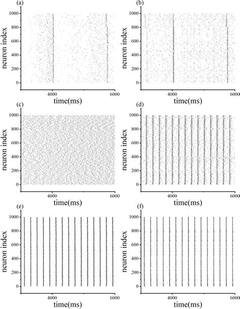 The Raster Maps Of Neuron Discharge Under The Effect Of Stdp Right Download Scientific Diagram