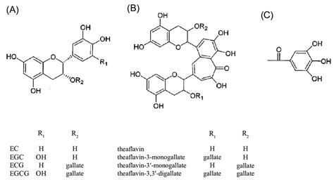 Structures Of The Tea Polyphenols A Flavanols B Theaflavins C
