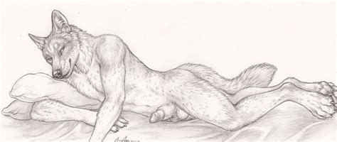 Rule 34 Anthro Australian Cattle Dog Balls Bed Sheet Bedding Canid