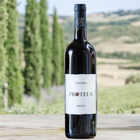 Organic Tuscan Red Wine Proteus Podere Tesoro