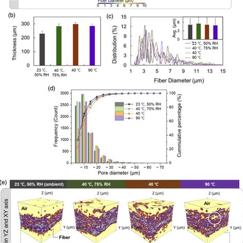 Morphological Analysis By Xµ Ct A 3d Morphology With Web Thickness