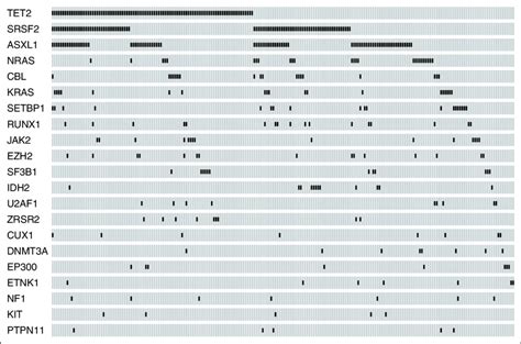 Mutation Patterns Observed In Patients With Cmml In The Learning