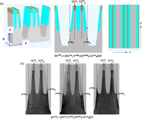 A Top 3 D And Cross Sectional View Of The Ocd Model And The Overlay Download Scientific
