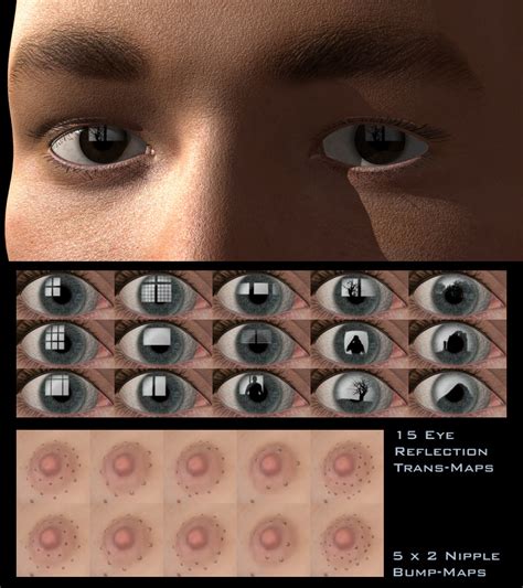 D3D Perfect Skin 2 Poser Python Script 3D Software Poser Daz