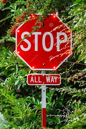 Stop Sign With Flashing Led Lights Partially Blocked By Plant Foliage