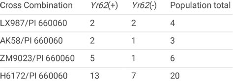 Statistical Analysis Of Molecular Marker Detection Results Of Four