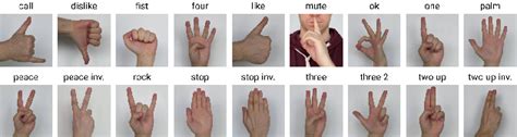 Figure 2 From Hand Gesture Recognition Using Densenet201 Mediapipe Hybrid Modelling Semantic