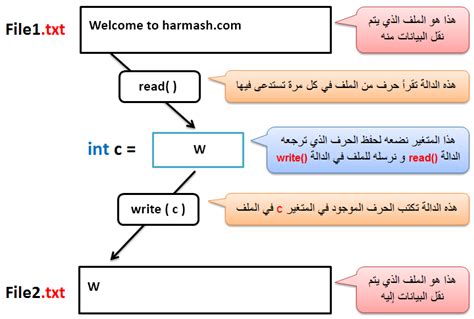 التعامل مع الملفات في جافا