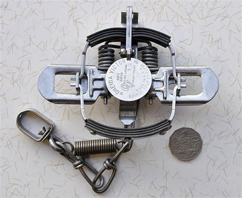 Sneaky Hunting Traps For The Stealthy Hunter Survival Life