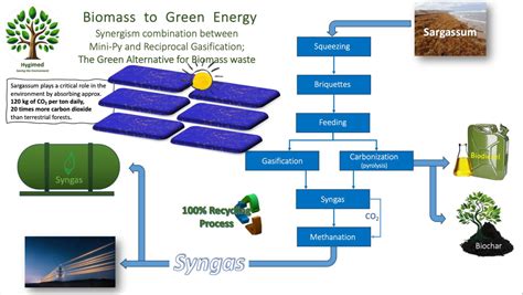 Valorization Of Sargassum And Other Biomass Using Hygimed Thermal System