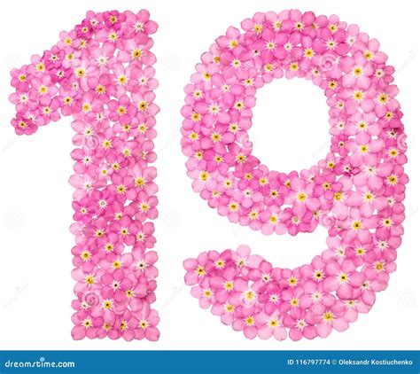 Number 19 Pink
