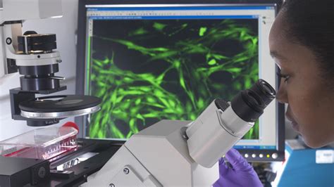 How Do You Define Cellular Level