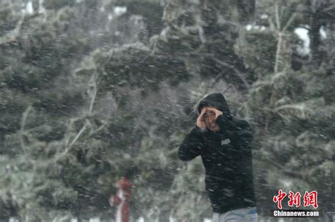 山東蓬萊迎來降雪 民眾踏雪出行 組圖 圖片中國 中國網
