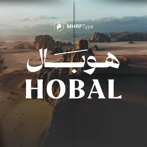 Hobal Film Logtype Gridliners Awards