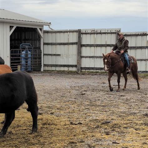 Robert Heldreth Willie And His Ball No Not Just Any Facebook