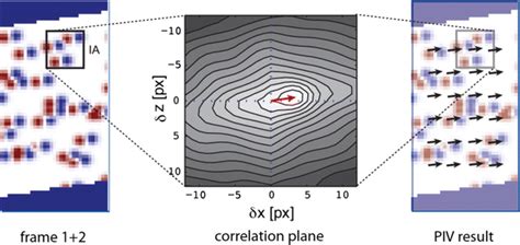 schematic representation of particle image velocimetry processing of a