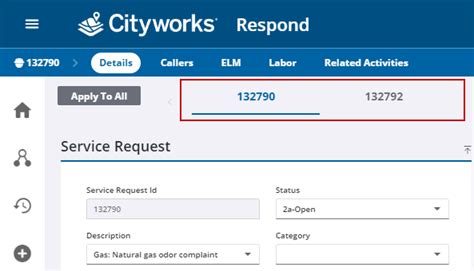 View Multiple Service Requests