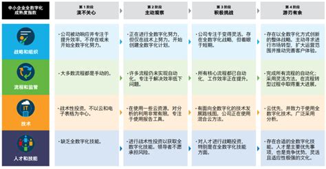 十大企业数字化转型成熟度评价模型详解：综合评估与行业实践指南