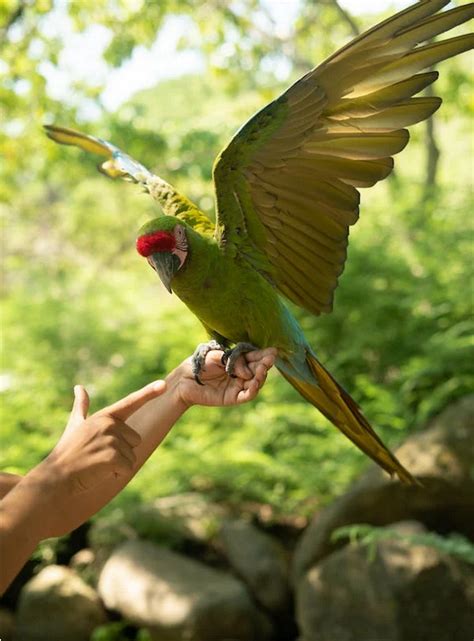 How I Created A Forecasting App Using Streamlit Be On The Right Side