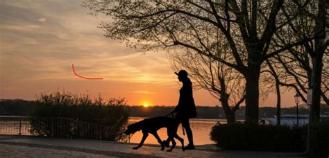 C OpenCV如何实现图像修复功能 开发技术 亿速云