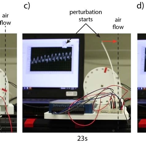 Soft Whisker Like Sensor A Whisker Like Sensor With Soft Resistive