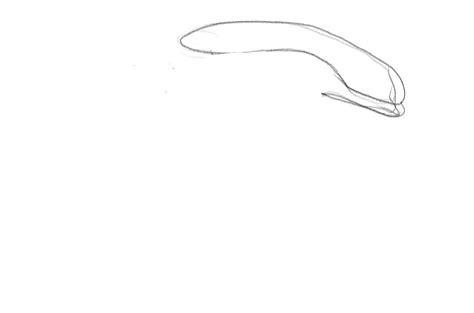 How To Draw A Xenomorph Head