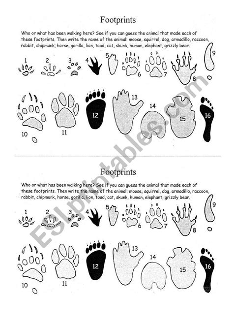 Footprints Esl Worksheet By Angelinaz