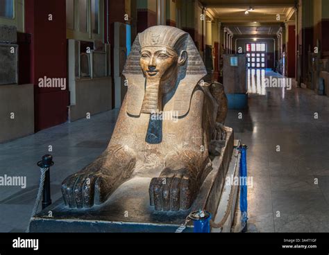 Cairo Egypt January 13 2025 A Prominent Sandstone Sphinx Statue