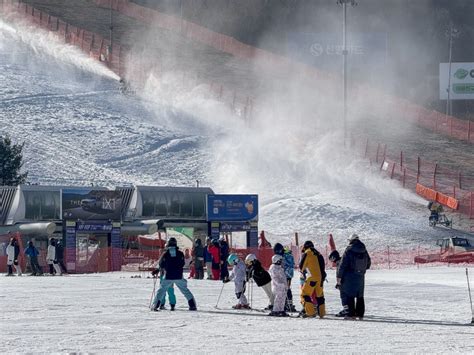 비발디파크 어린이 스키강습 스키장 교육 비용 시간 네이버 블로그
