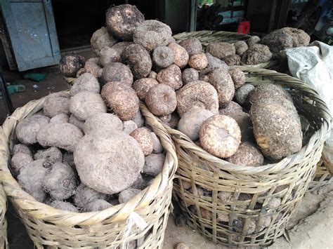 ဘောဂလိမြို့တွင် တစ်ပိုင်တစ်နိုင် ဝဥတူးဖော်ရောင်းချခြင်းဖြင့