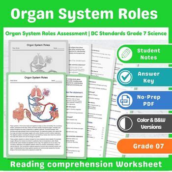 Organ System Roles Assessment Bc Standards Grade 7 Science Tpt