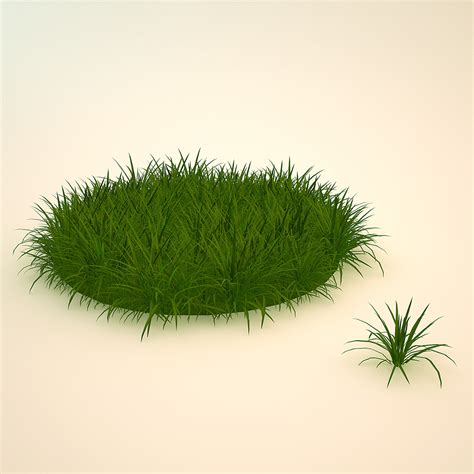 Free Grass 3d Model