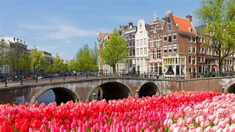 オランダの首都アムステルダム代表的なお土産のご紹介 skyticket 観光ガイド
