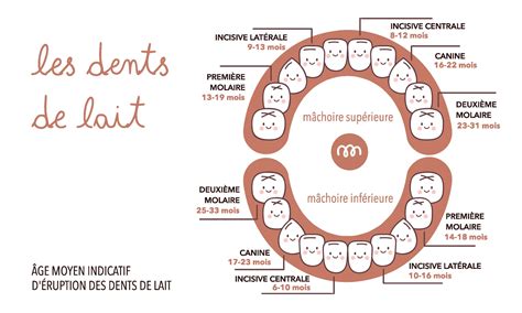 Brossage Des Dents De Bébé Quand Commencer Et Comment Sy Prendre