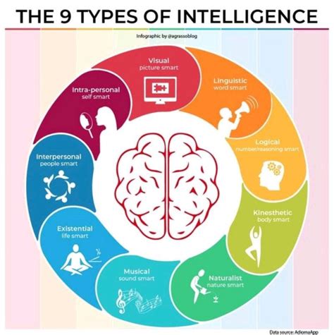 Intuition — Pattern Recognition And Data Analysis By Trish Martinelli Medium