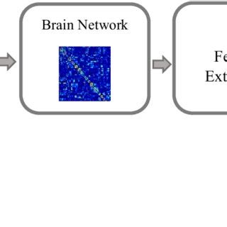 Steps Performed Within The Study Resting State FMRI Functional Download Scientific Diagram