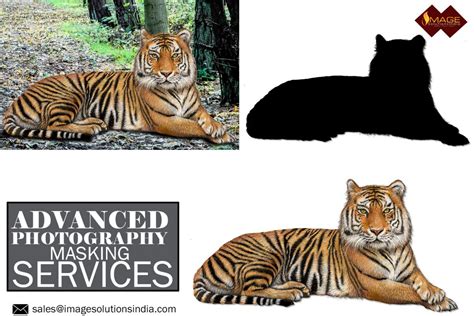 Image Masking Services Photoshop Masking To Remove Backgrounds