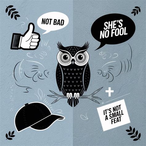 Understanding Litotes Definition And Examples Explained