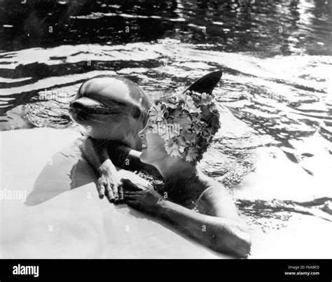 Flipper The Famous Dolphin From The Miami Seaquarium Is Featured