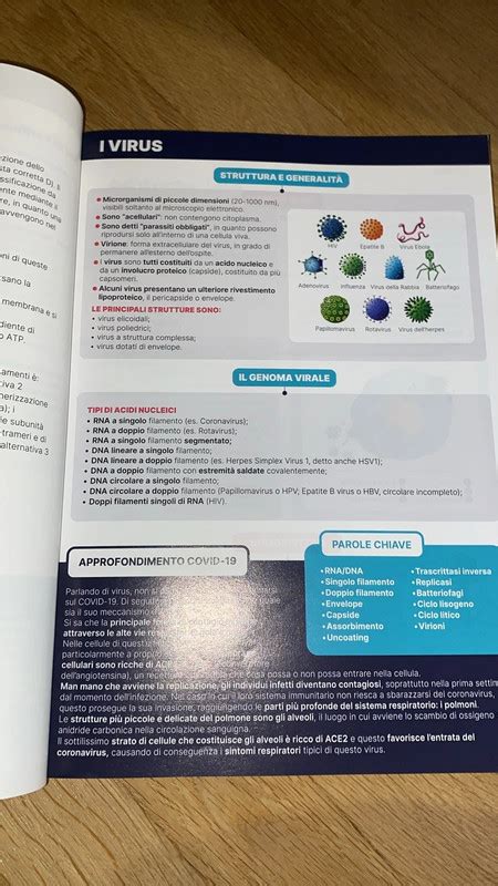 Libro Di Mappe Concettuali E Schemi Pro Med Vinted