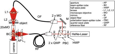 Schematic Diagram Of Dhm Setup Download Scientific Diagram