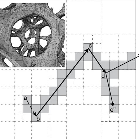 2d Schematic Of Combining Mcrt Method And Octree Algorithm Download Scientific Diagram
