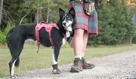 A Kilt A Cart And A Husky Scotsman Learning Lots About Kindness Canada On Adventure Of A