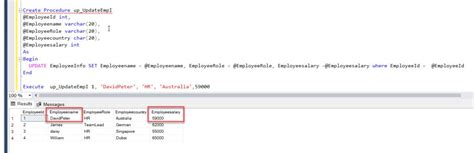 How To Execute The Stored Procedure For Updating The SQL Server