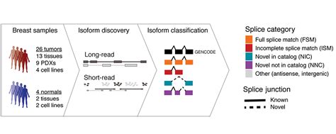 kickstart your cancer research with long read sequencing