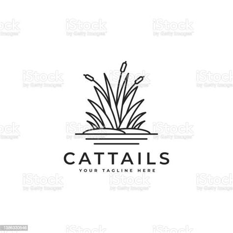 라인 스타일의 캣테일 잔디 캣테일 로고 라인 아트 로고 디자인 영감 리드 아이콘 늪지에 대한 스톡 벡터 아트 및 기타 이미지