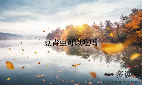豆青虫可以吃吗 多读网
